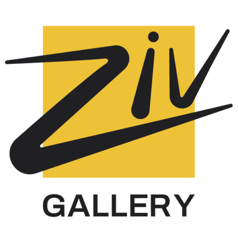 Ziv Gallery - nova home - Ziv Gallery